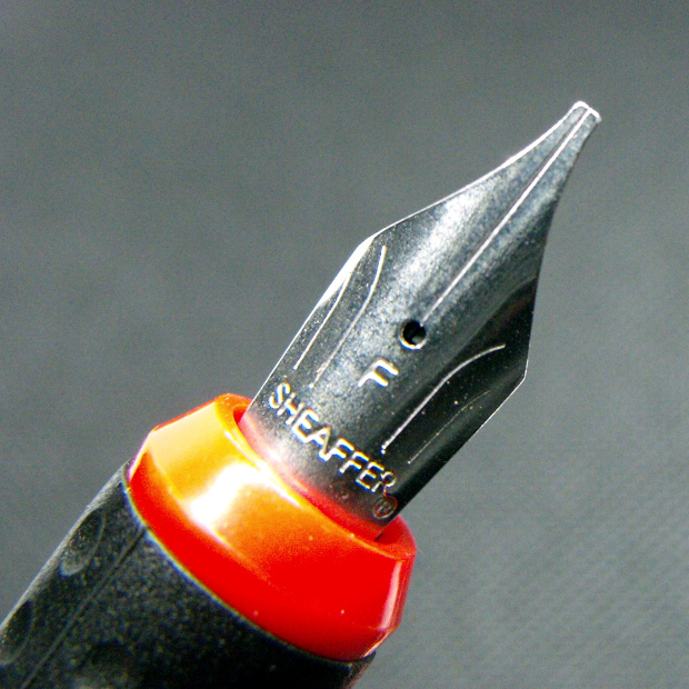 Sheaffer Viewpoint Calligraphy Fountain Pen (Fine) - InexPens